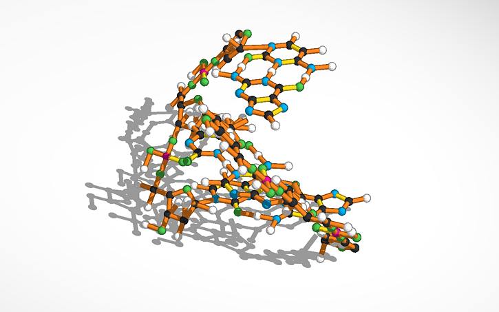 3D design Copy of DNA Science Project - Tinkercad