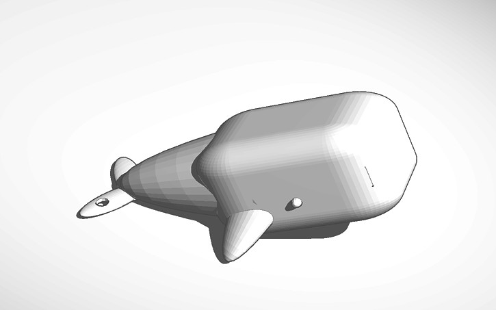 3D design ****Whale**** - Tinkercad