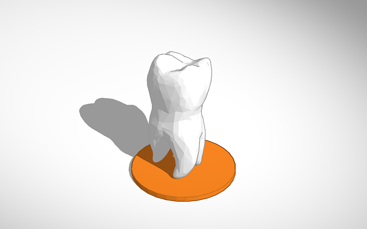 3D design tooth - Tinkercad